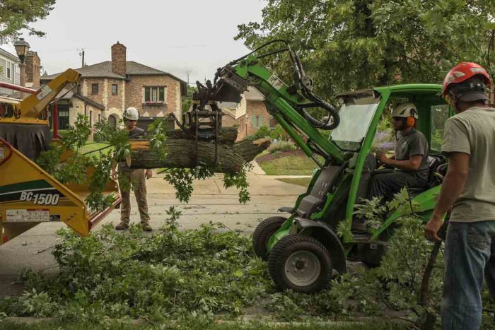 Home | Forester Tree Service